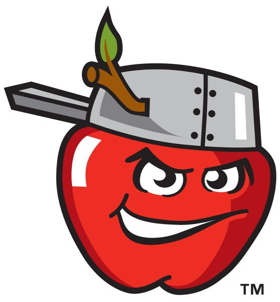 Fort Wayne TinCaps ReCap: South Bend 7, Fort Wayne 6 - AroundFortWayne